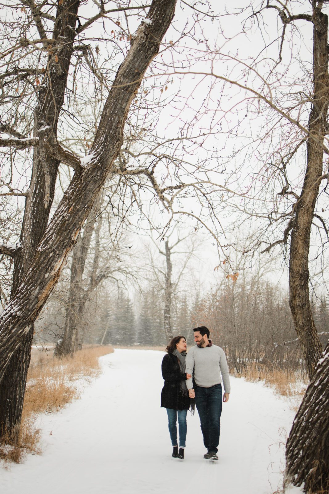 Winter Engagement Session in Fish Creek Park Calgary - Carly Hill