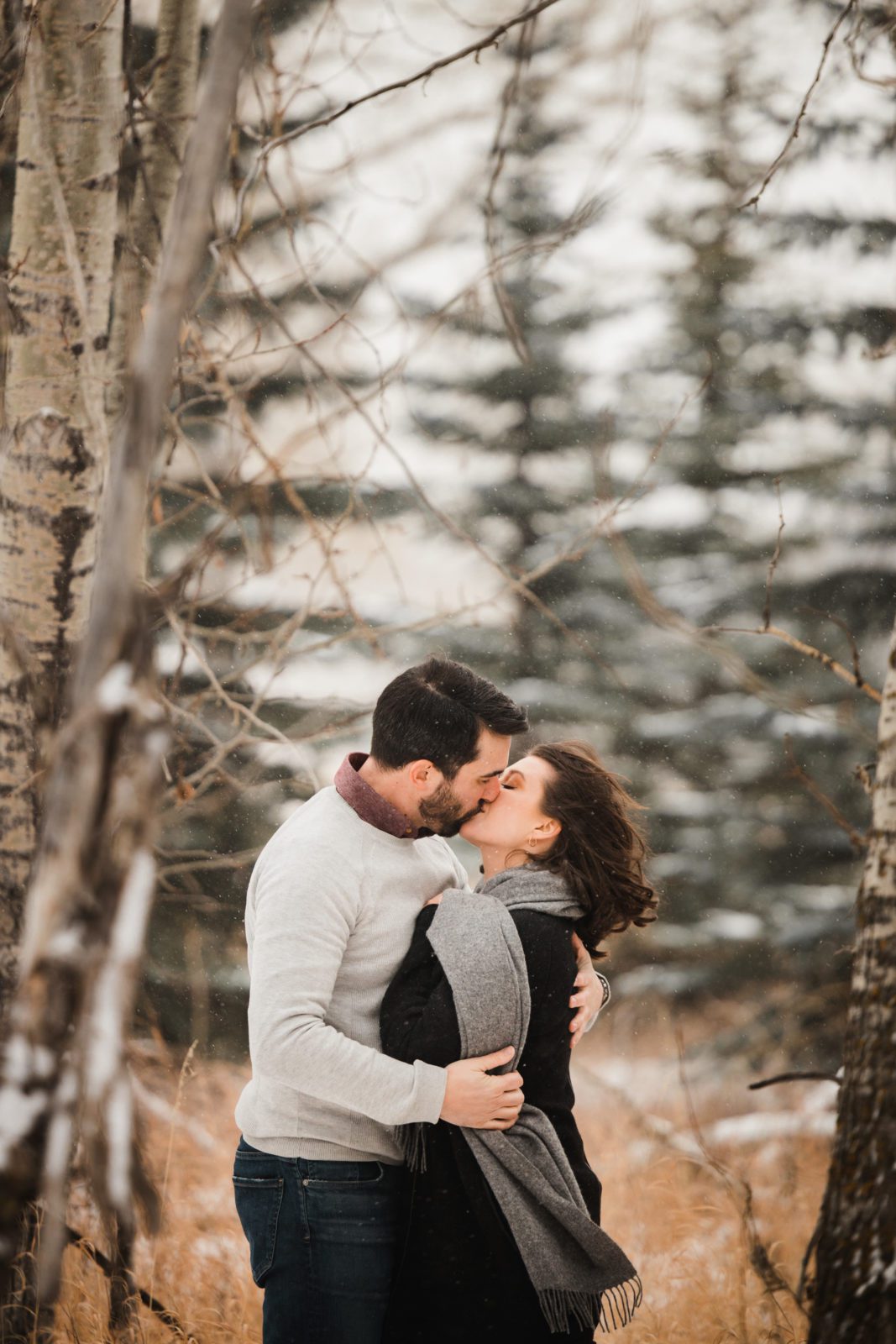 Winter Engagement Session in Fish Creek Park Calgary - Carly Hill
